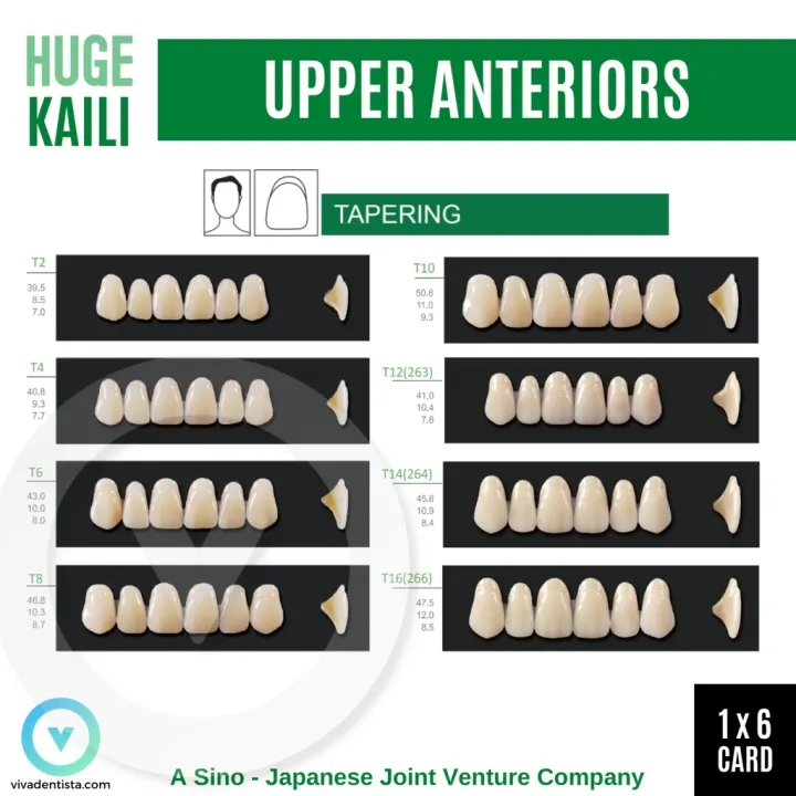 Huge Kaili (Upper Anterior - Tapering) VivaDentista Dental Supply ...