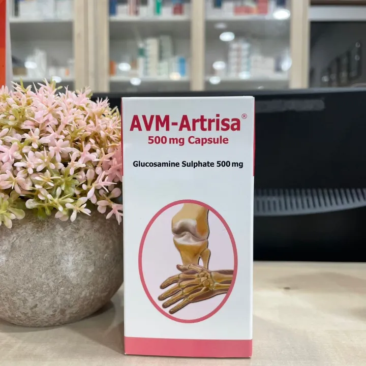 AVM-Artrisa Glucosamine Sulphate 500mg | Lazada