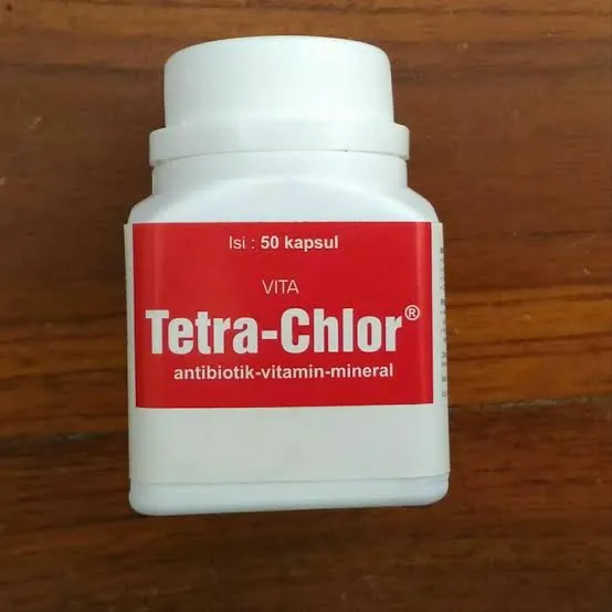 Tetra Cholor Botol Obat ayam itik ternak isi 50 tablet | Lazada Indonesia
