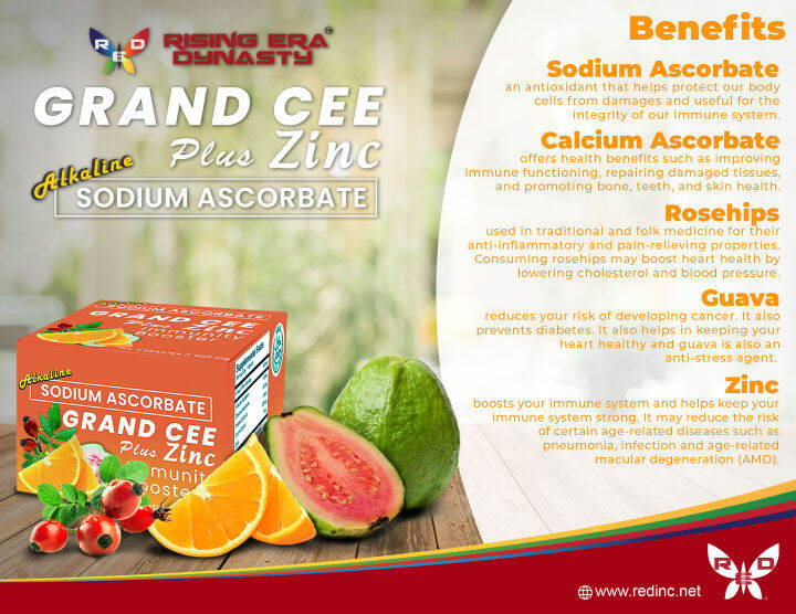 Grand Cee Plus Zinc - Alkaline (100 caps) | Lazada PH