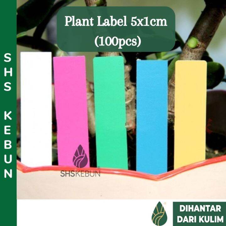 100pcs Plant Label PVC Small Plant Tag Waterproof 5x1cm Penanda Tanaman ...