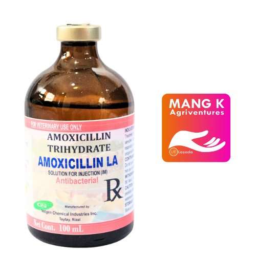 AMOXICILLIN LA | Antibacterial Solution for Injection (IM) | Lazada PH