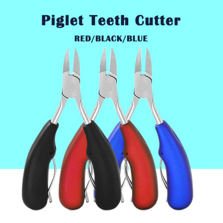 Stainless Piglet Tooth Cutter Pig Teeth Clipper Farm Animal Teeth ...