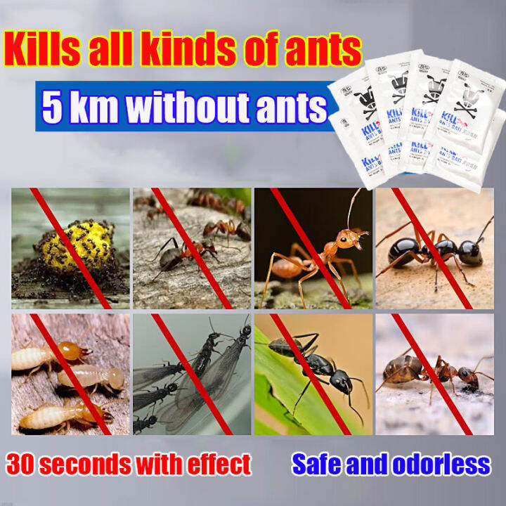 Ant killer no ants for 50 years One infected whole nest died Effective Powder Ant Killing Bait ...