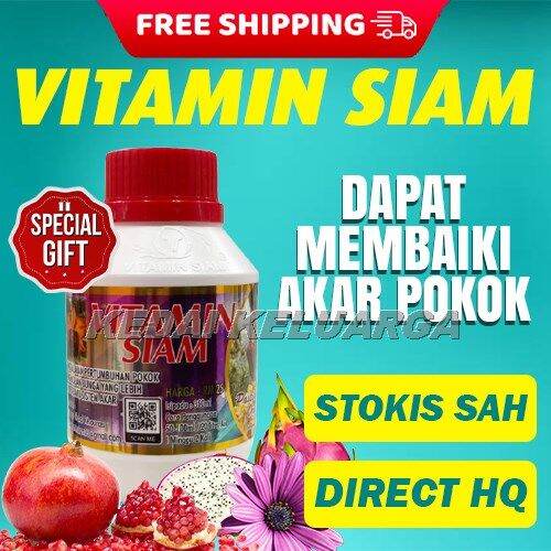 Baja Vitamin Siam Baja Pokok Vitamin Siam Baja Vitamin Siam Power VITAMIN SIAM ORIGINAL 350ML ...