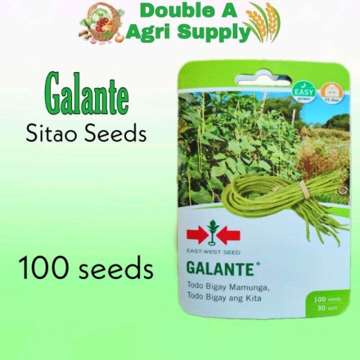 Galante Sitao / Sitaw Grow Pack - East West Seed | Lazada PH