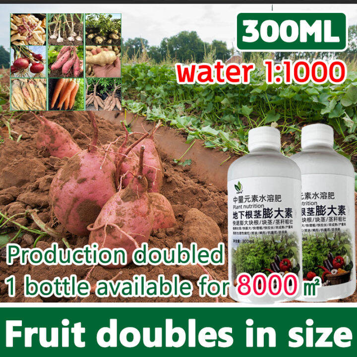 300ml 🍠underground rhizome expansion hormone🥔 vegetable fertilizer ...