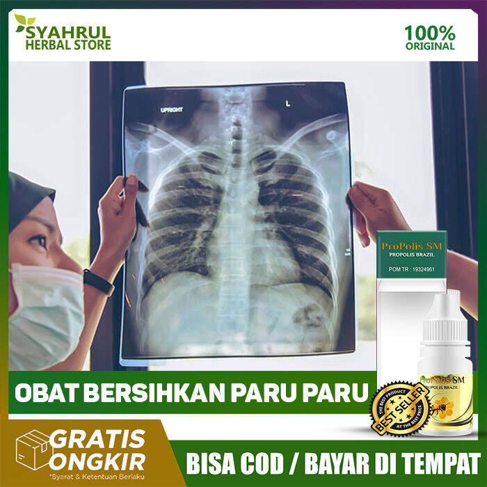 Obat Pembersih Paru Paru - Obat Hilangkan Lendir Paru Paru - Radang ...