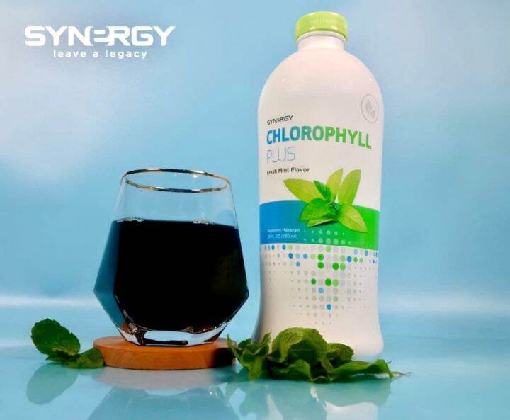 Synergy Chlorophyll Plus 25 Oz - Suplemen Antioksidan & Daya Tahan ...
