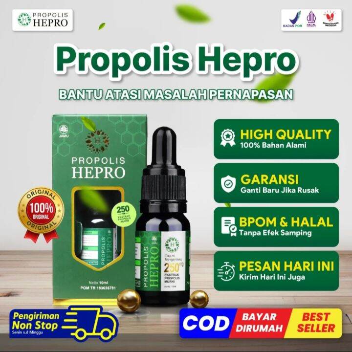 PROPOLIS HEPRO ASLI OBAT TBC FLEK PARU DAN BATUK BERDAHAK - PROPOLIS ...