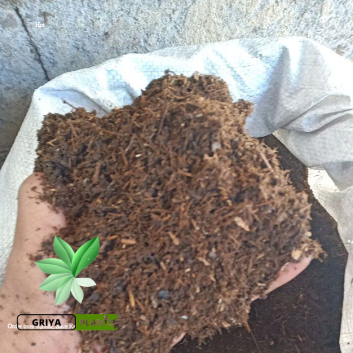 Tanah humus Daun bambu I KG | Lazada Indonesia