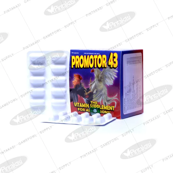 PINTAKASI 1 box 100 capsules of Excellence Promotor Multivitamins (October 2024 Expiry) for ...