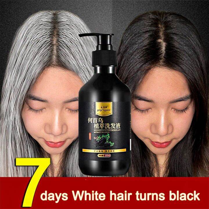 Herbal Natural Polygonum Multiflorum Shampoo Effective White Hair Turns to Black Hair Shampoo ...