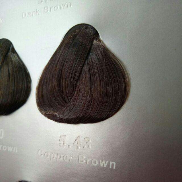 Haircraft Hair Coloring Cream Low Ammonia by HBC | Lazada PH