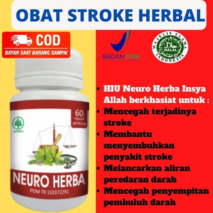 NEURO HERBA OBAT STROKE RINGAN BERAT -PENYEMPITAN PEMBULUH DARAH ...