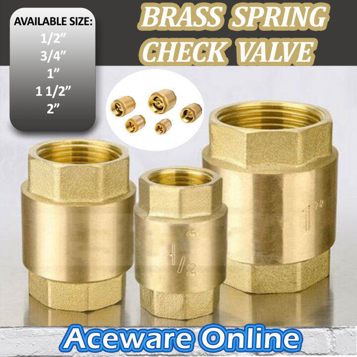 One Way Valve Spring Valve Check Valve Non Return Valve Brass Valve ...