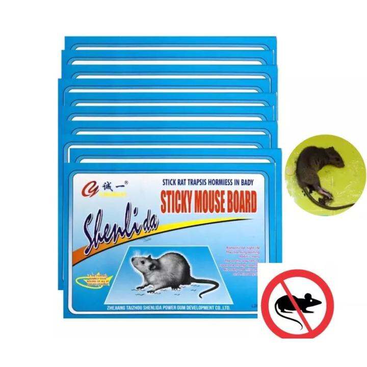 STNDRD Mouse Glue Board Pad Rat Sticky Mice Catcher | Lazada PH