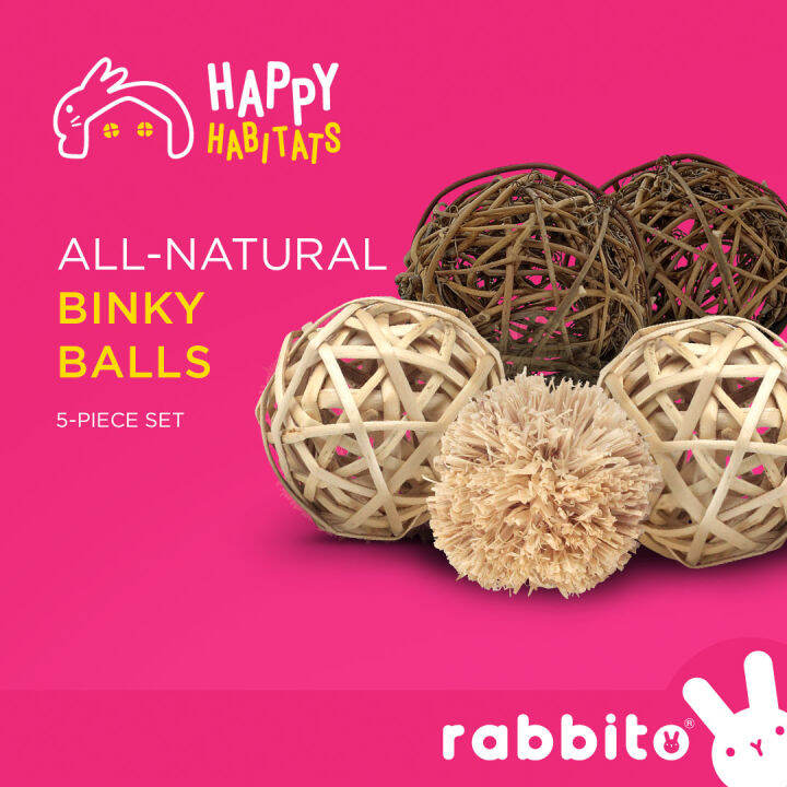 Happy Habitats All-Natural BINKY BALLS Toy for rabbits, guinea pigs and ...