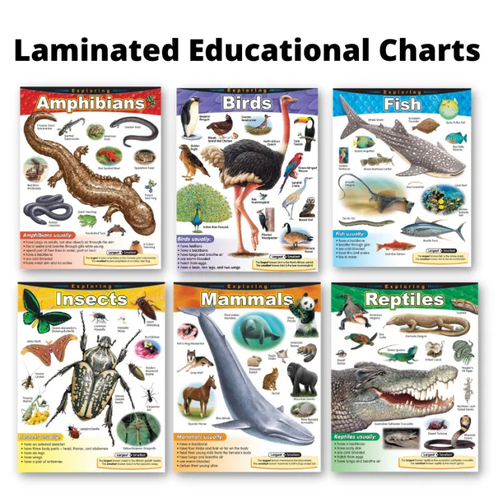 Laminated Animals Charts, Amphibians, Birds, Insects, Fish, Mammals ...