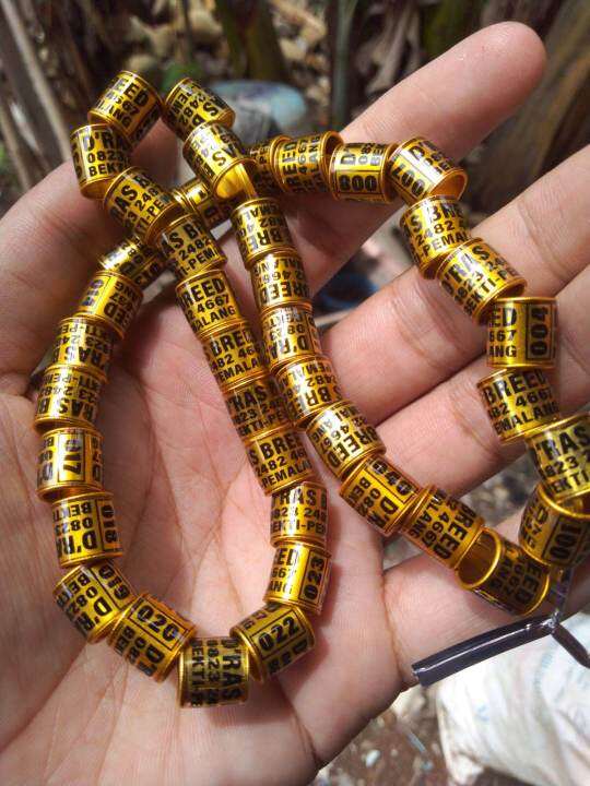 RING MERPATI CUSTOM NAMA | RING MERPATI REQUEST NAMA SENDIRI | MODEL ...