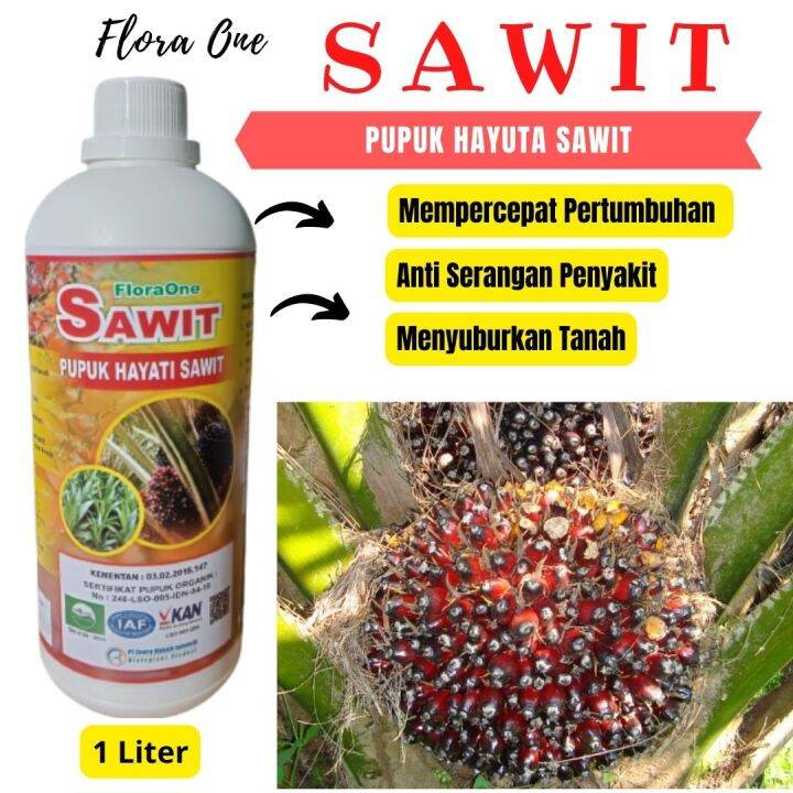 Bisa COD Pupuk Floraone Sawit Pupuk Booster Untuk Sawit Pupuk Kelapa ...