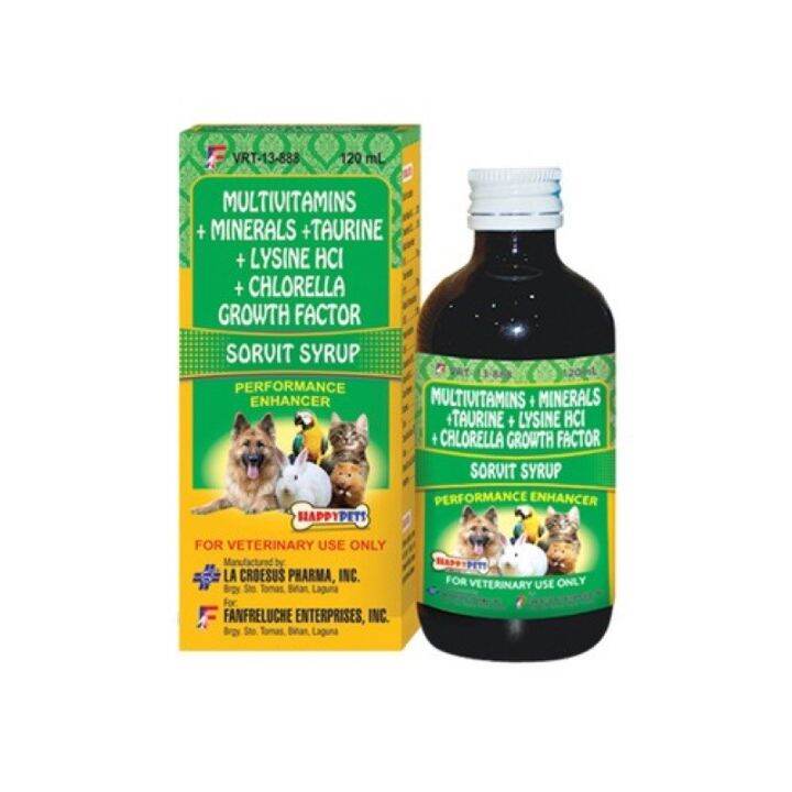 Sorvit Syrup Multivitamins 120ml | Lazada PH