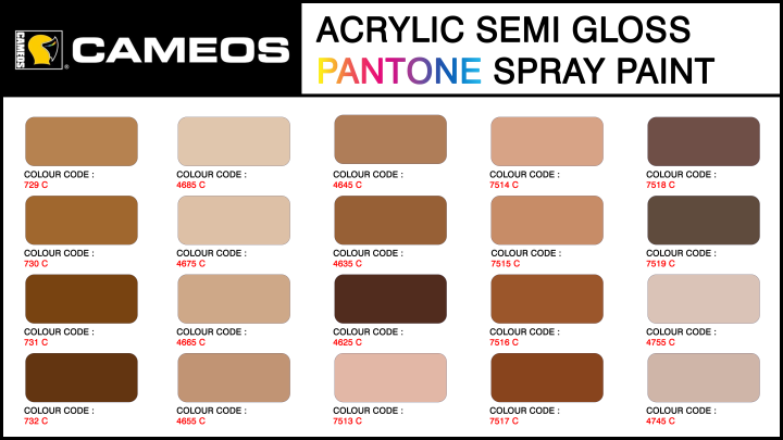 PANTONE Color P60 - Aerosol Spray Paint - CAMEOS 400ML/Bottle | Lazada