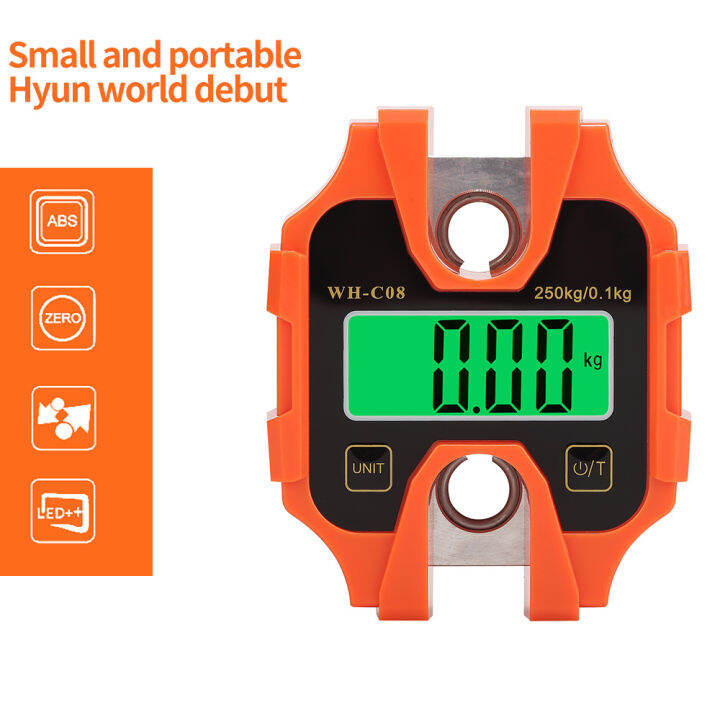 【250KG】Micro Crane Scale Industrial/Agricultural/laboratory Detachable ...