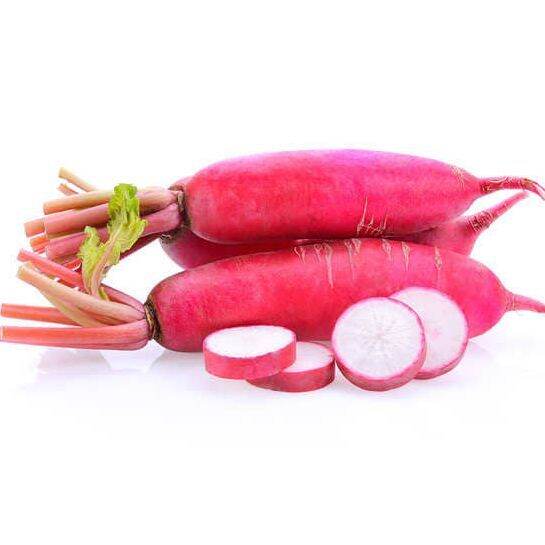 binhi pantanim 10 seeds labanos red long radish kimchi outdoor ...