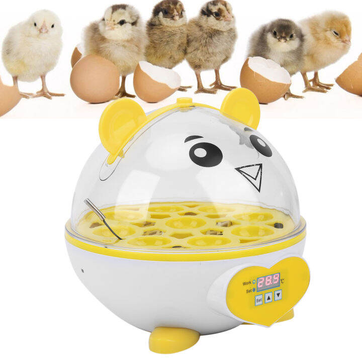 110-240V Eggs Incubator Brooder Bird Quail Incubator Chick Hatchery ...