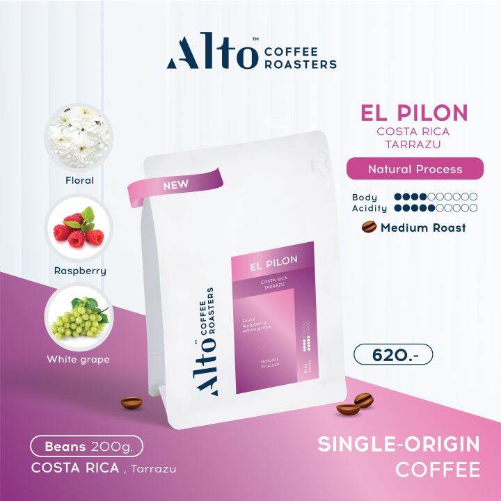 Alto Coffee เมล็ดกาแฟคั่ว - EL PILON, Costa Rica แอล ไพลอน (200g ...