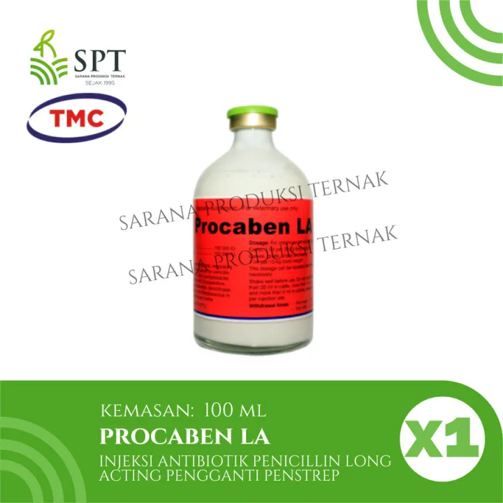 PROCABEN LA 100 ml Injeksi Antibiotik Penicillin Pengganti penstrep ...