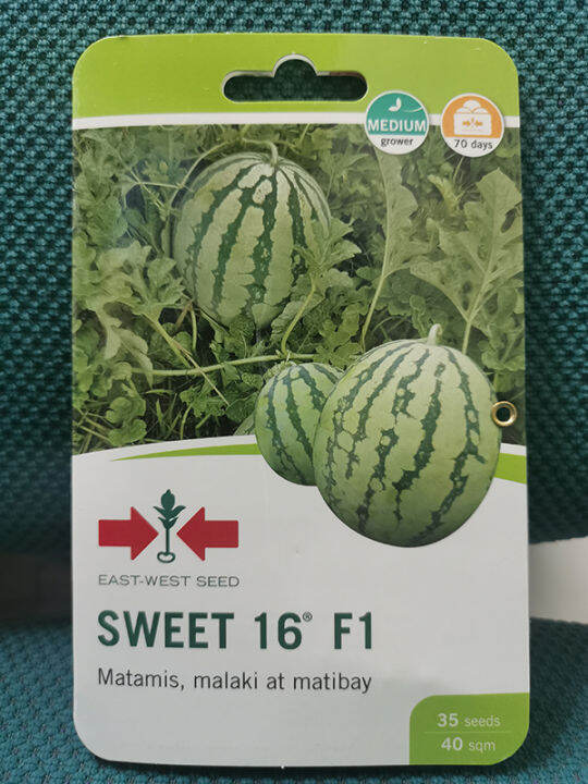 EAST WEST SWEET 16 F1 WATERMELON SEEDS (ORIGINAL GARDEN PACK) | Lazada PH