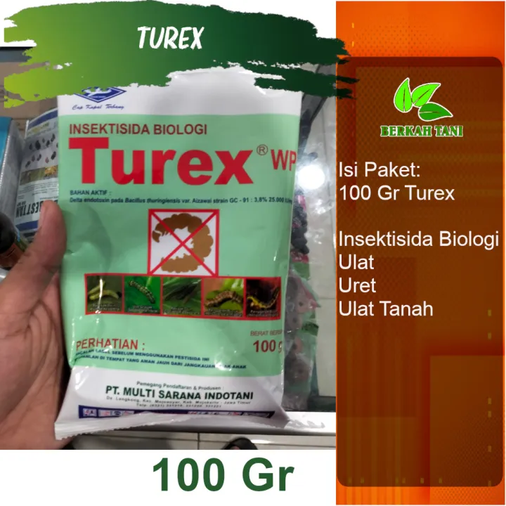 Turex 100 Gram Insektisida Hama Uret Tanah Ulat Grayak | Lazada Indonesia