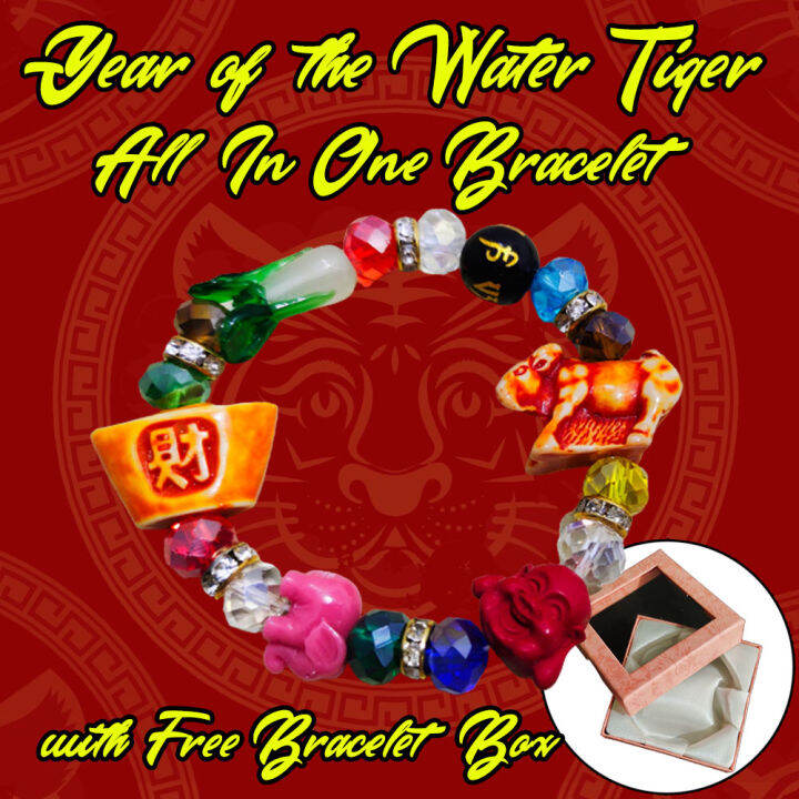 ALL in One Bracelet Lucky Charm Protection and Good luck Symbol Brings ...
