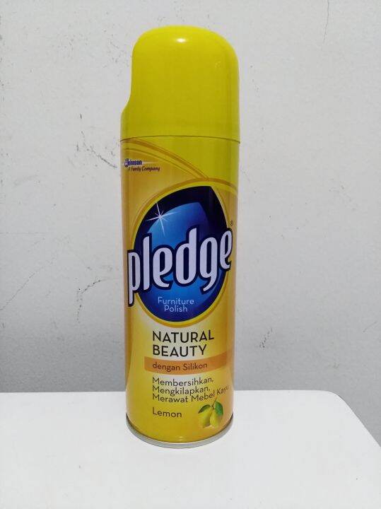 Pledge Furniture Polish Spray Kaleng 330 ml | Lazada Indonesia
