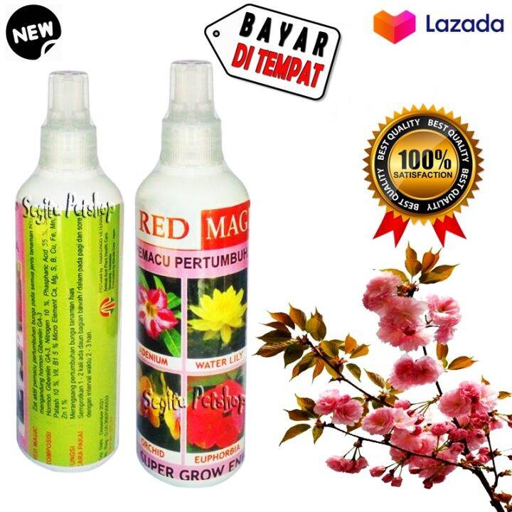 Pupuk Cair Pemacu Pertumbuhan Bunga Dan Kembang Tanaman Hias Bunga ...