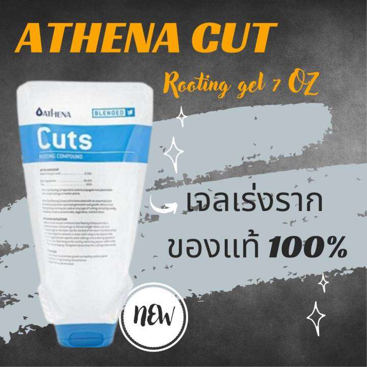Athena Cuts Rooting Gel 7oz เจลเร่งราก ของแท้ 100% | Lazada.co.th