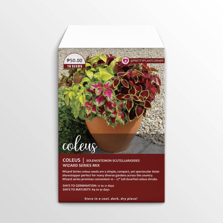 Coleus Wizard Series Mix Seeds | Lazada PH