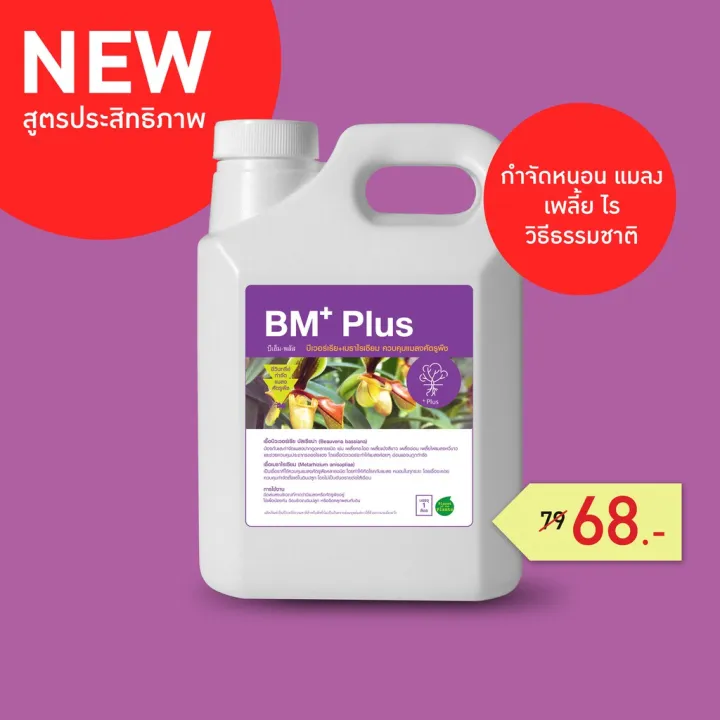 ชีวภัณฑ์ BM Plus กำจัดศัตรูพืช บีเวอร์เรีย เมธาไรเซียม กำจัดแมลงแบบออ ...