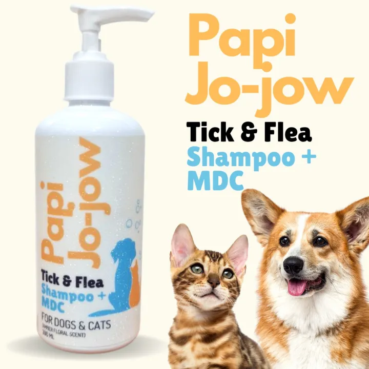 Papi Jo-Jow Tick & Flea Shampoo + MDC for Dogs and Cats Amber Floral Scent 300 ml | Lazada PH