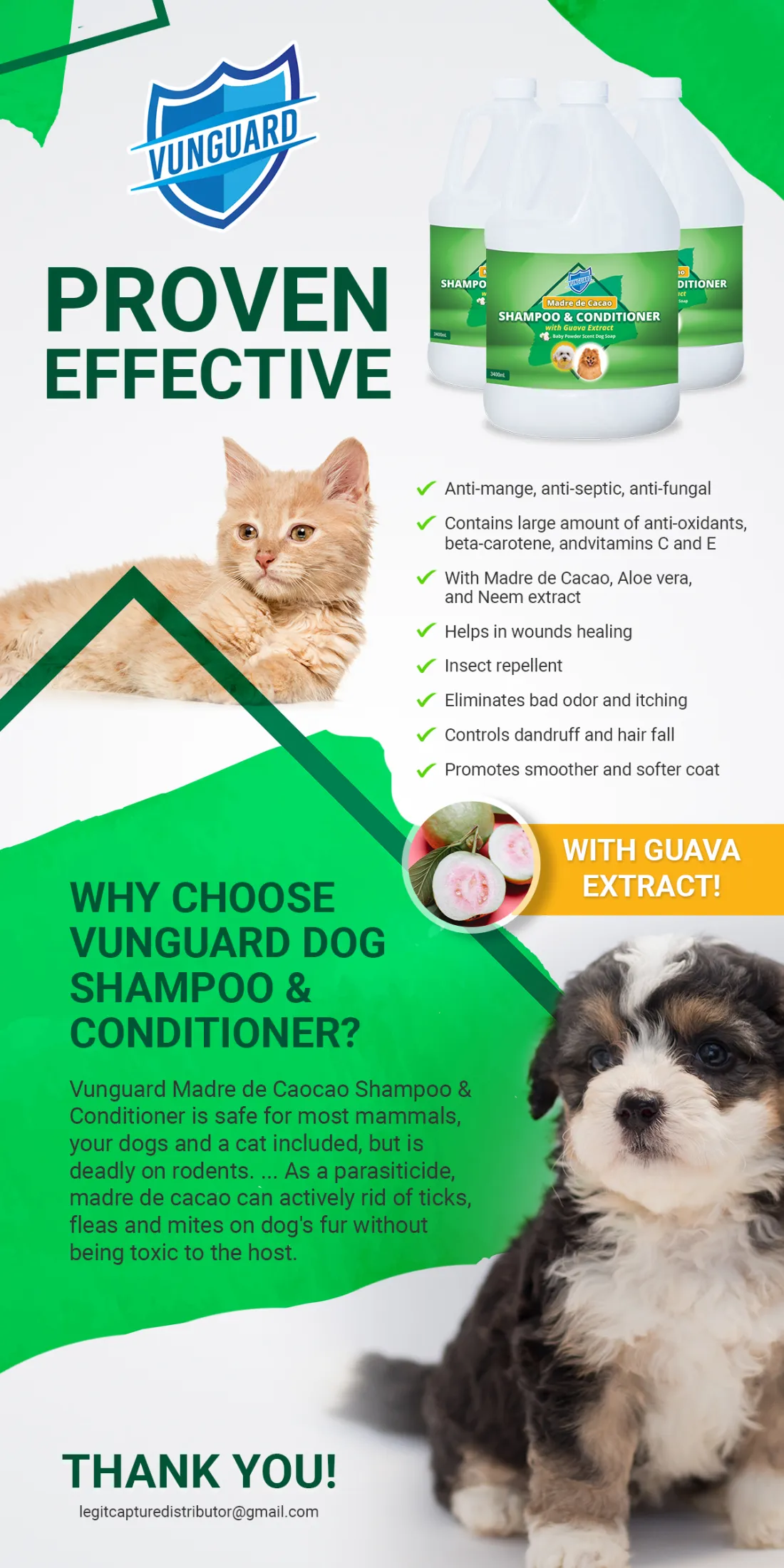 Will Baby Powder Help My Dogs Itching