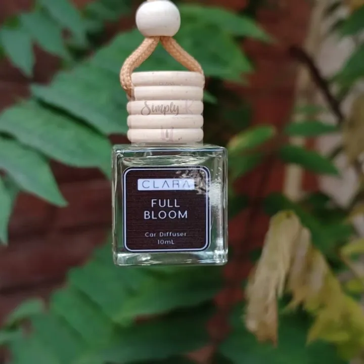 Hanging diffusers- Car Scents | Lazada PH