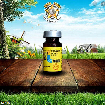 PROVESTIN 6ml OBAT UNTUK UTERUS - STAR FARM | Lazada Indonesia