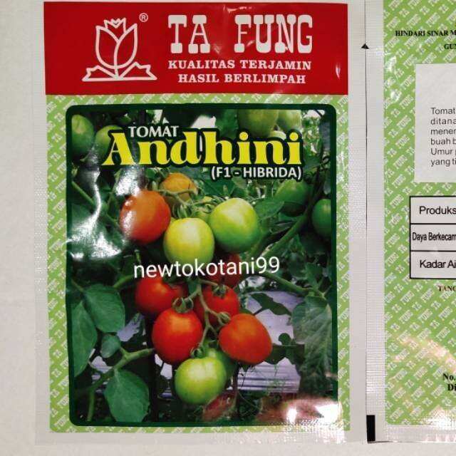 Benih tomat hibrida ANDHINI F1 5 gram TaFung tomat dataran rendah hibrida dari ta fung T99 ...