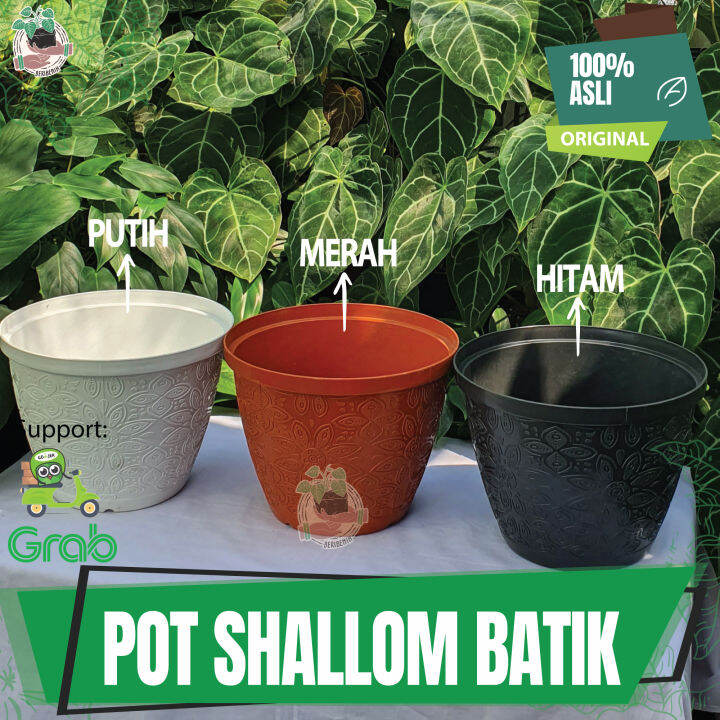 Pot Bunga Tanaman Hias Shallom Motif Batik Hitam Merah Putih Unik ...
