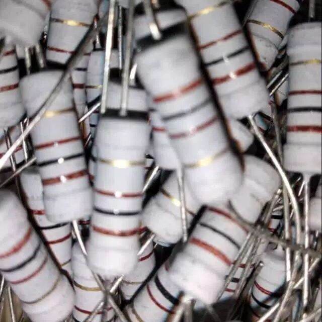 Resistor 2 Watt 100 ohm isi 10 pcs | Lazada Indonesia