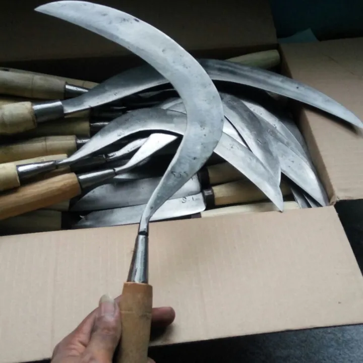 Arit Terlaris Ukuran 35 Cm / Sabit Pengupas Rumput / Peralatan Dapur ...