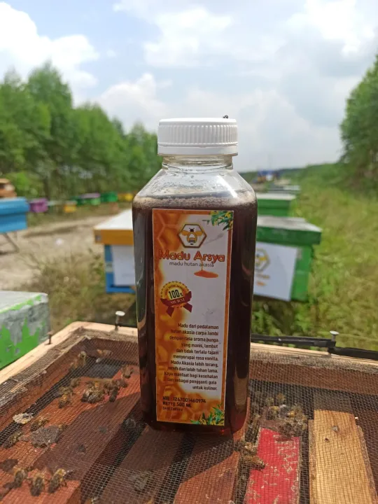 Madu Murni Asli 100% Arsya 500ml Alami Raw Honey Nektar Akasia Carpa ...