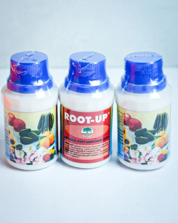 root up | Lazada Indonesia